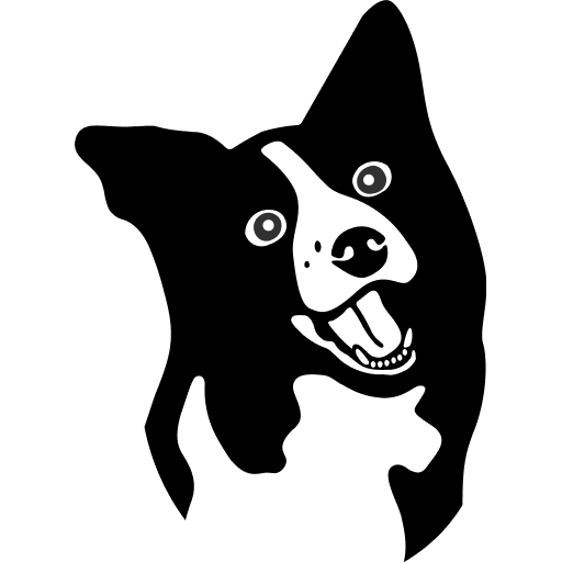 208 Stock Dogs | Professional Stock Dogs Trained by Jeff Clausen